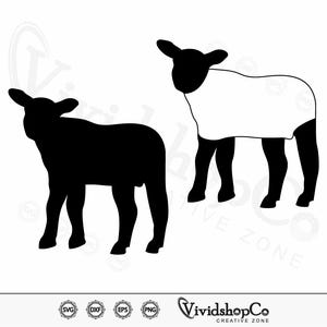 Show Lamb #2 SVG, Market Lamb Svg, Sheep Svg, Show Sheep Svg, Clipart ...