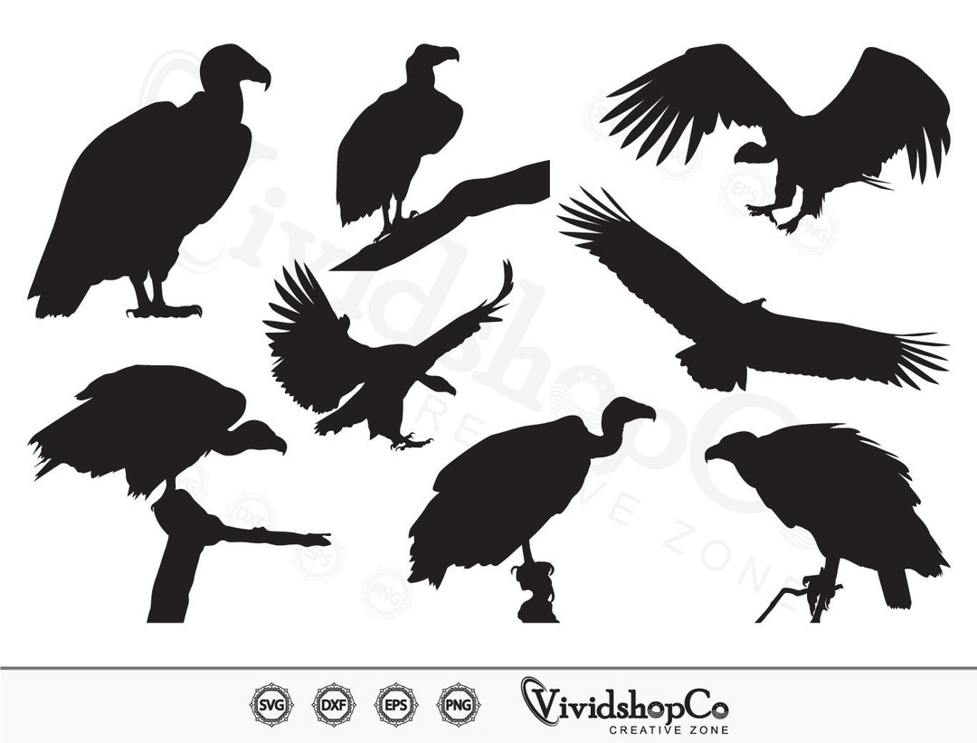 Vulture SVG, Bird Svg, Animal Svg, Clipart, Cut Files for Silhouette ...