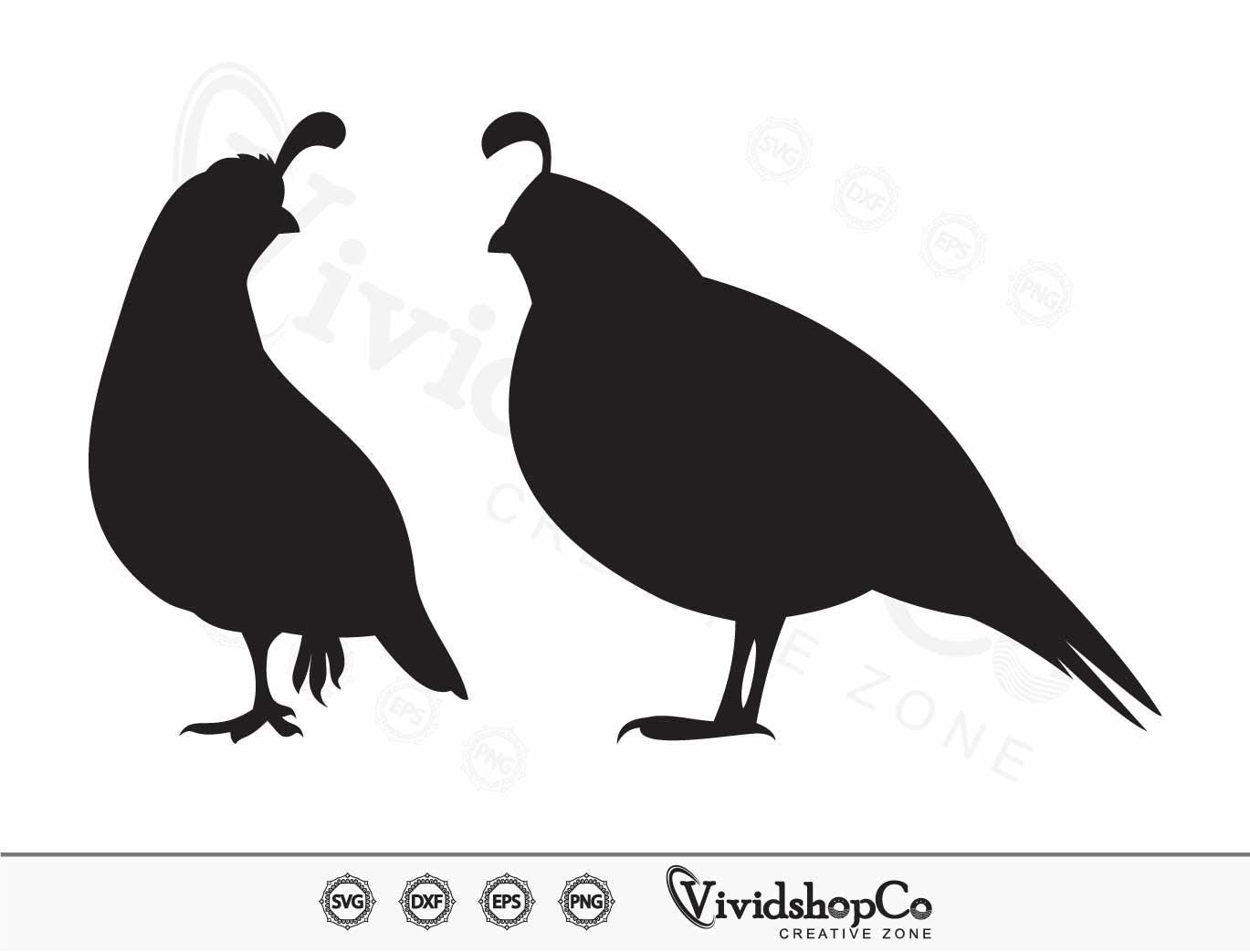 Quail SVG, Quail Bird Svg, Clipart, Cut Files for Silhouette, Files for ...