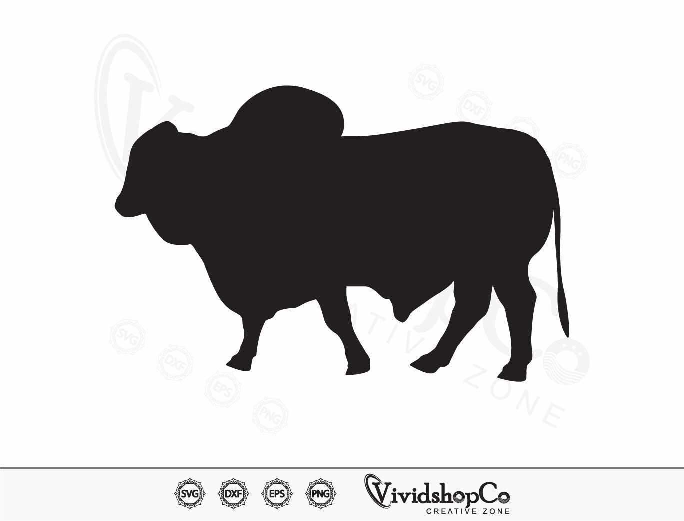 Brahman Bull SVG, Livestock Svg, Ranching Svg, Vector, Silhouette ...