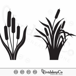 Cattail SVG, Grass Svg, Bulrush Plant Svg, Cattail Flower Svg, Clipart ...