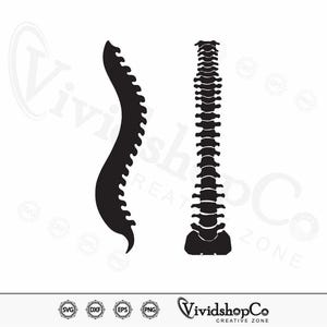 Anatomy SVG, Anatomy Spine Svg, Spine Svg, Human Anatomy Svg, Clipart, Cut Files for Silhouette ...