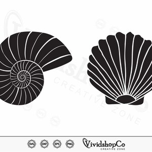Seashell SVG, Sea Shells Svg, Clam Svg, Beach Svg, Ocean Svg, Shell Svg ...