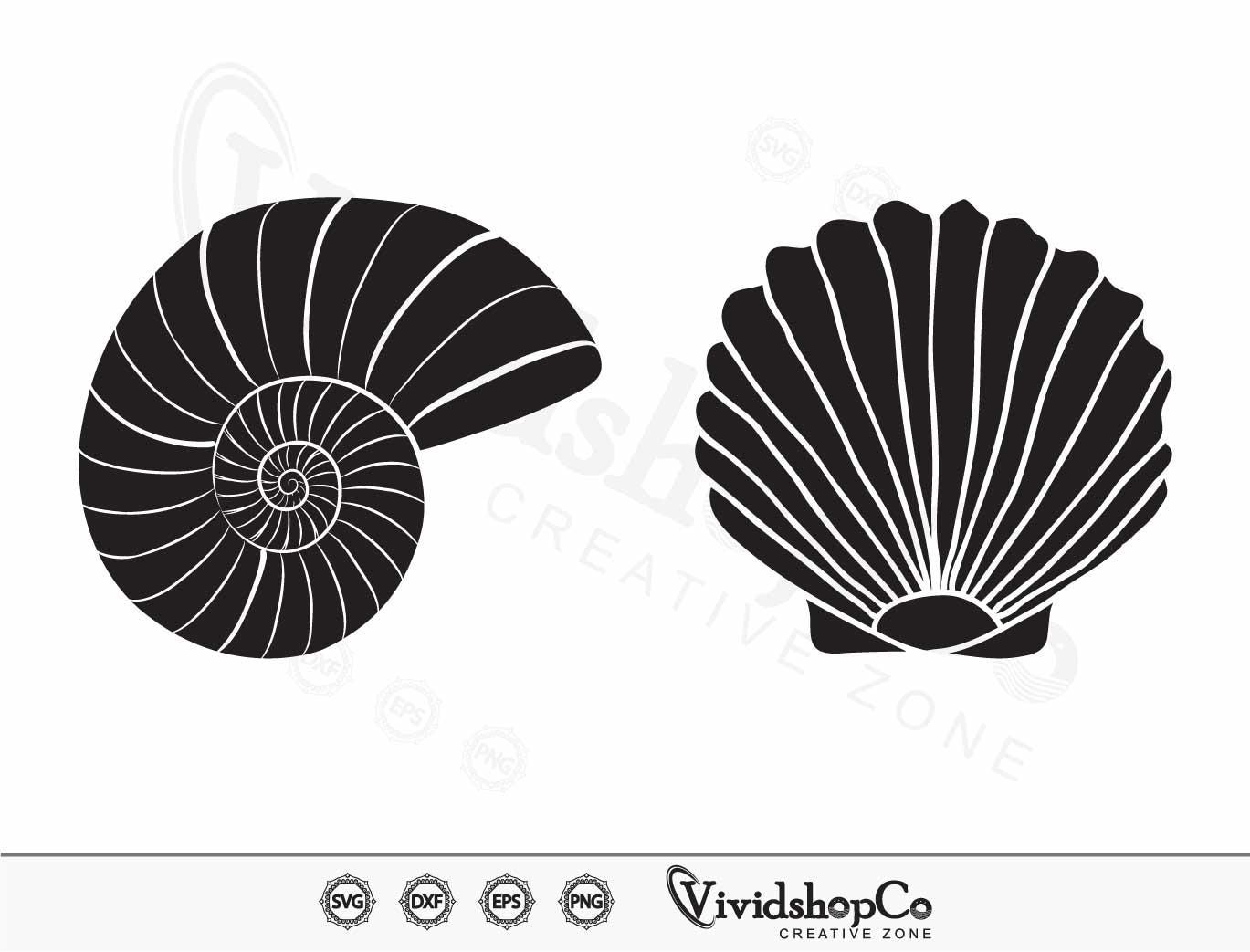 Seashell SVG, Sea Shells Svg, Clam Svg, Beach Svg, Ocean Svg, Shell Svg ...