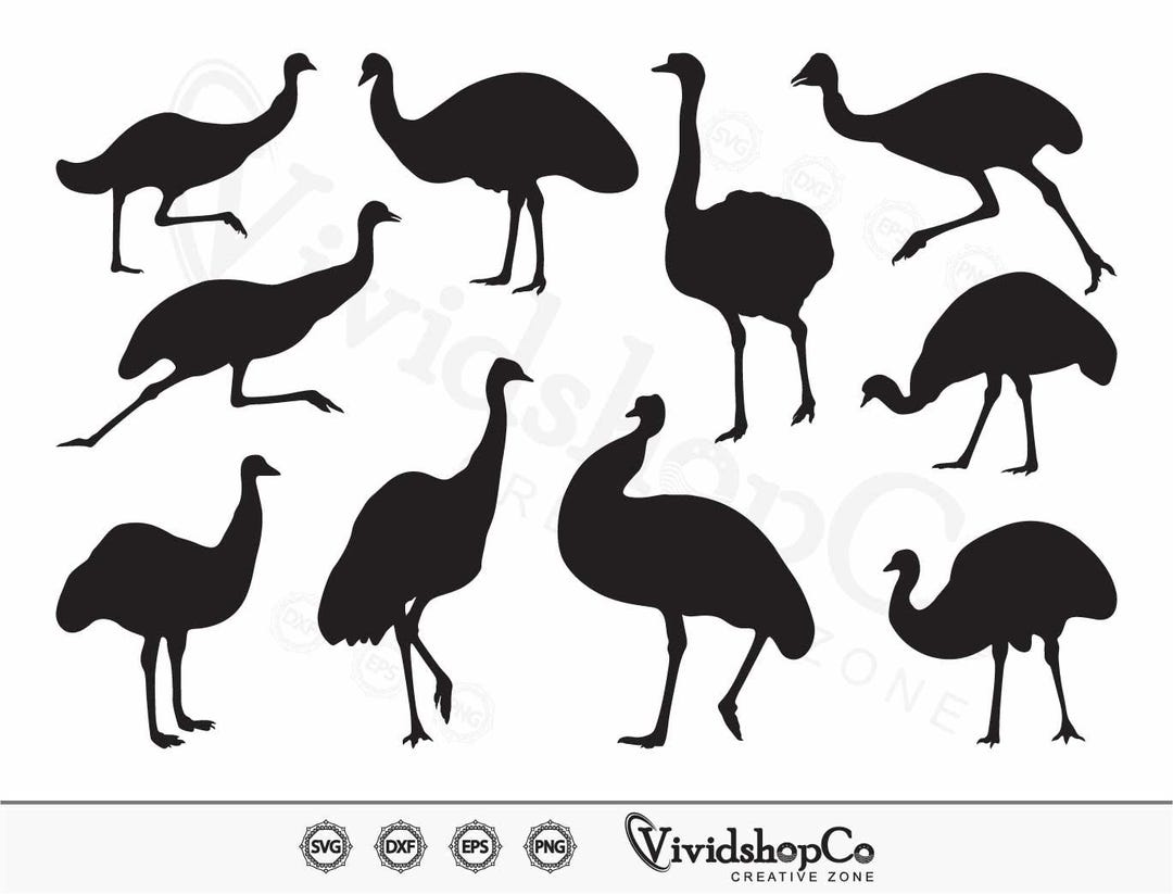 Emu SVG, Bird Svg, Animal Svg, Clipart, Cut Files for Silhouette, Files ...