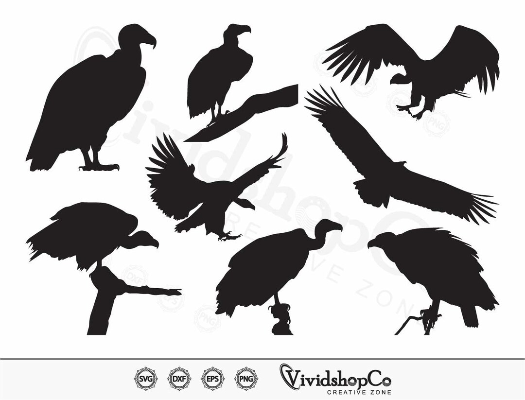 Vulture SVG, Bird Svg, Animal Svg, Clipart, Cut Files for Silhouette ...