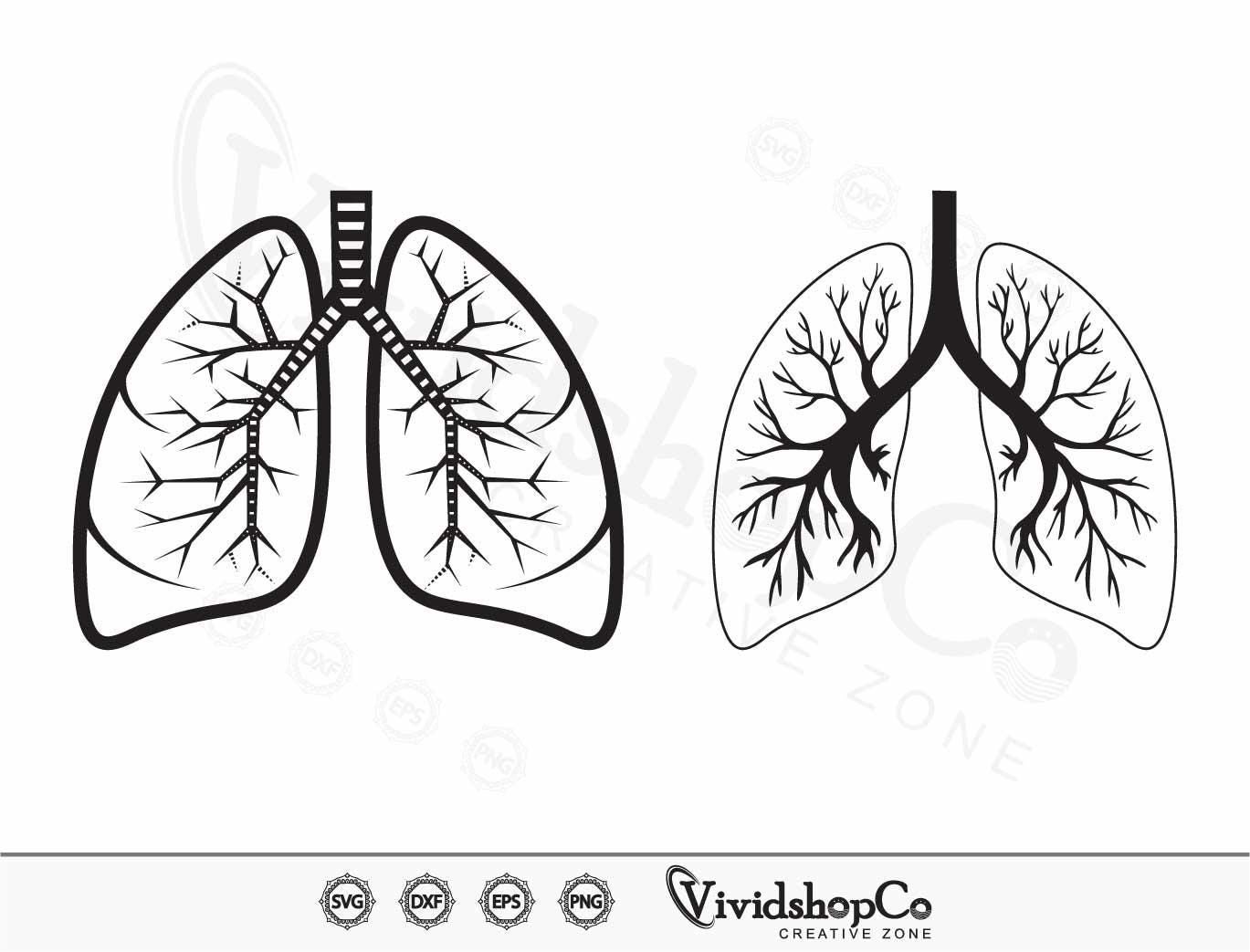 Lung SVG, Medical Image Svg, Human Lung Svg, Bronchial Svg, Clipart ...