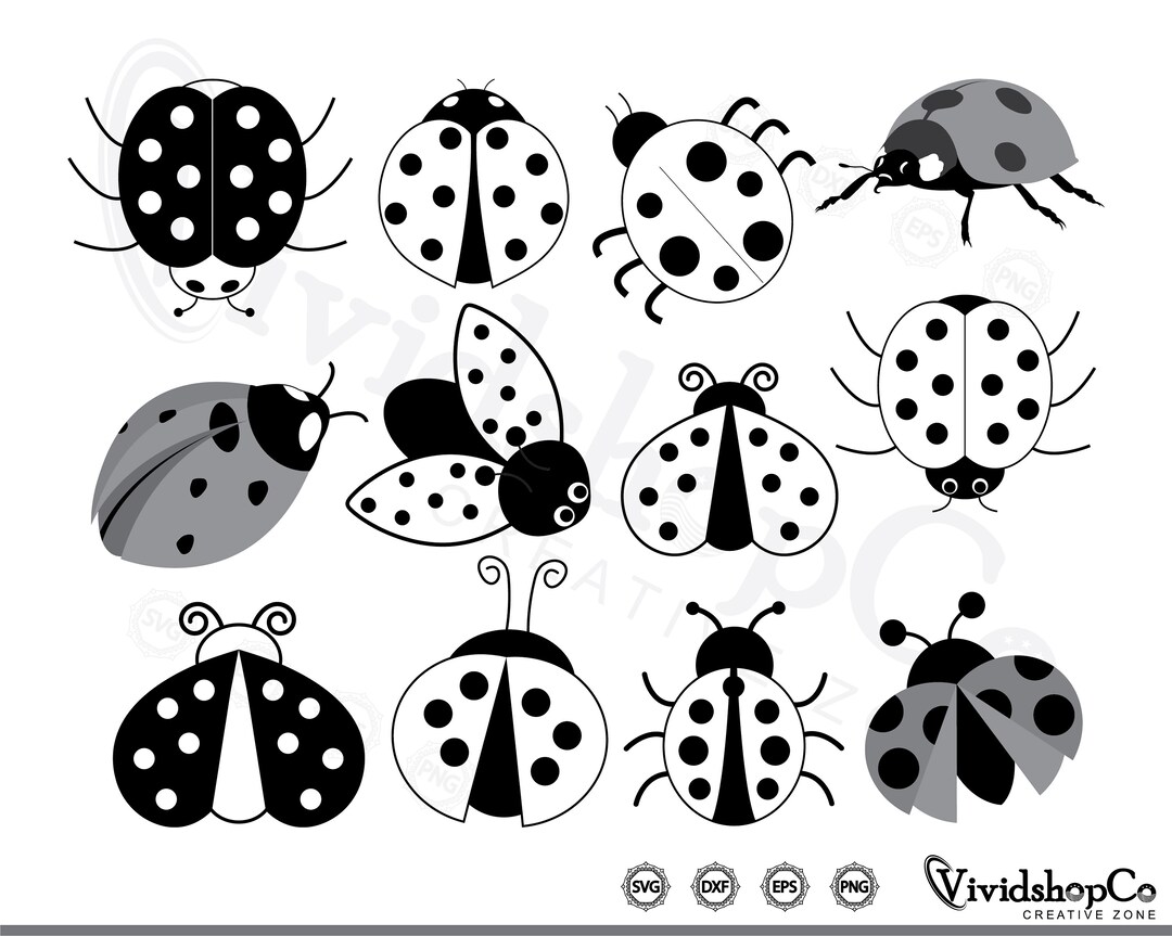 Ladybug Bundle Svg Ladybug Svg Ladybug Clipart Ladybug Cut - Etsy