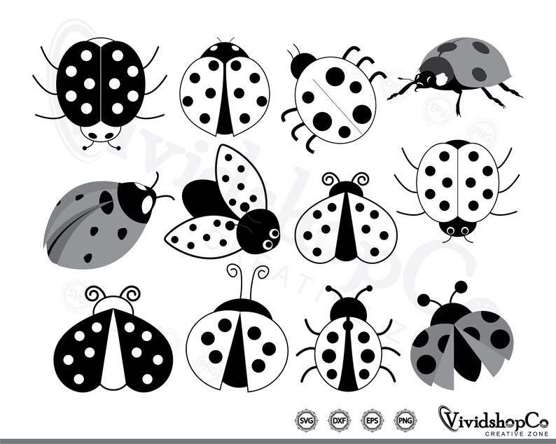 Ladybug Bundle Svg Ladybug Svg Ladybug Clipart Ladybug Cut | Etsy