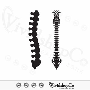 Anatomy SVG, Anatomy Spine Svg, Spine Svg, Human Anatomy Svg, Clipart ...
