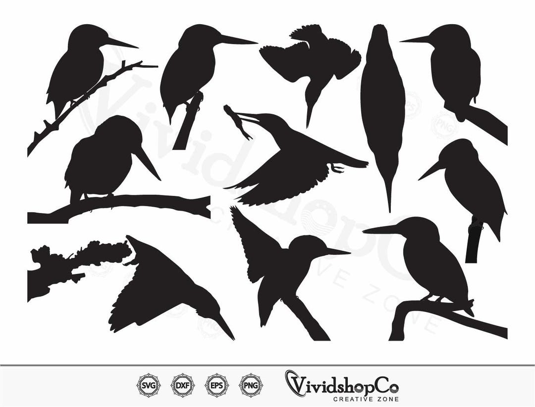 Kingfisher SVG, Bird Svg, Clipart, Cut Files for Silhouette, Files for ...