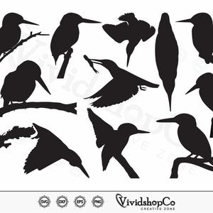 Kingfisher SVG, Bird Svg, Clipart, Cut Files for Silhouette, Files for ...
