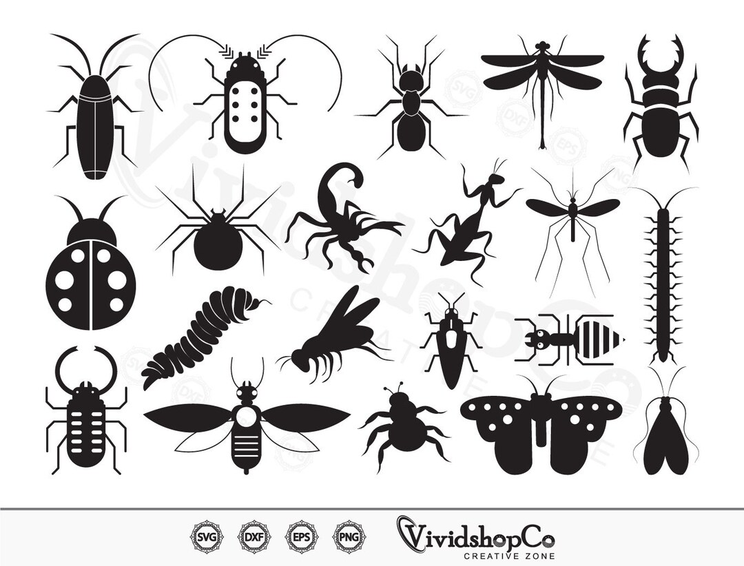 Insect Svg, Clipart, Cut Files for Silhouette, Files for Cricut, Vector ...