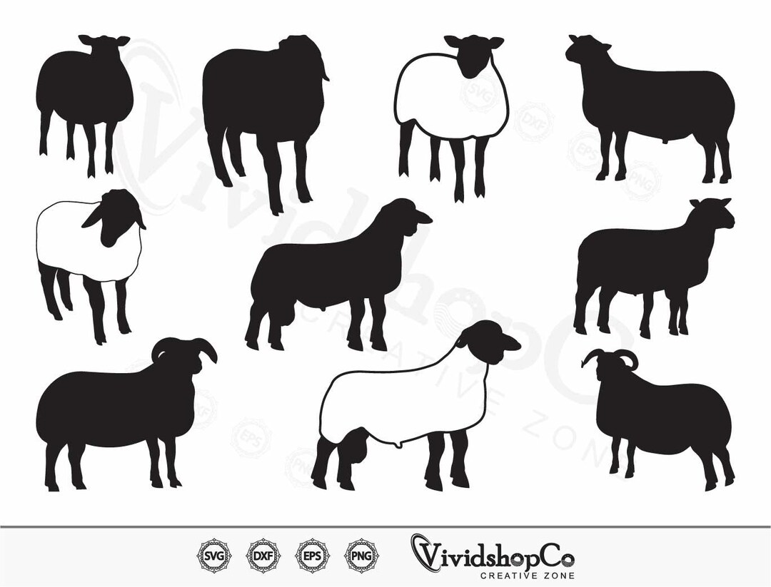 Show Sheep SVG, Sheep Svg, Lam Svg, Clipart, Cut Files for Silhouette ...