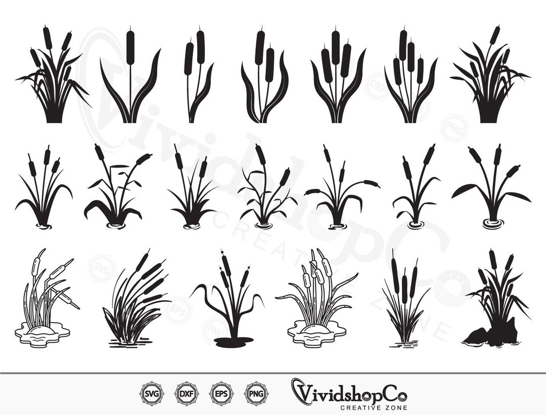 Cattail SVG, Grass Svg, Bulrush Plant Svg, Cattail Flower Svg, Clipart ...