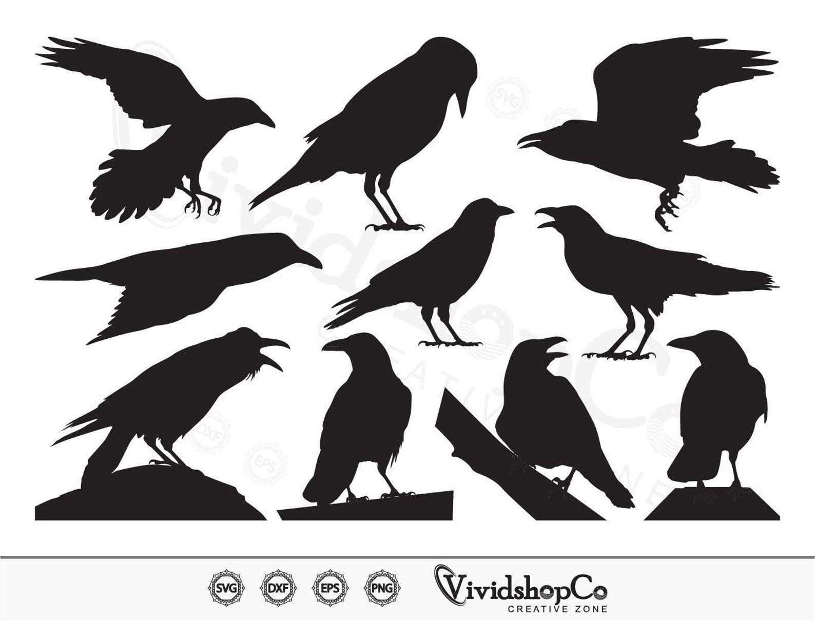 Corbeau SVG, svg Corbeau, des cliparts, des fichiers coupés pour la ...