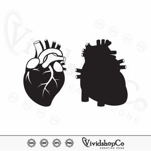 Human Heart SVG, Heart Svg, Anatomy Svg, Cardiology Svg, Clipart, Cut ...