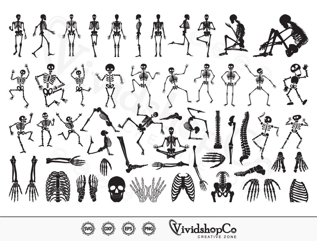 Skeleton SVG, Skull Svg, Spooky Svg, Dancing Skeleton, Halloween Svg ...