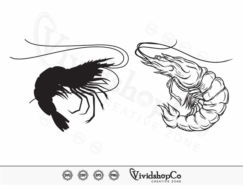 Shrimp SVG, Boiled Shrimp Svg, Prawn Svg, Seafood Svg, Clipart, Cut ...