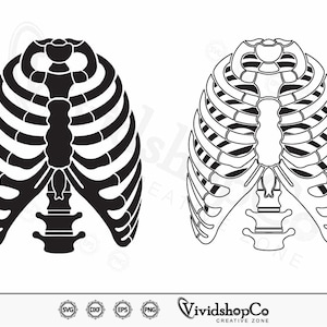 Rib Cage SVG, Skeleton Rib Cage Svg, Skeleton Svg, Human Ribs Svg ...