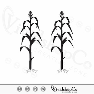Corn Stalks SVG, Corn Tree, Corn Svg, Corn Field, Popcorn, Maize Svg ...