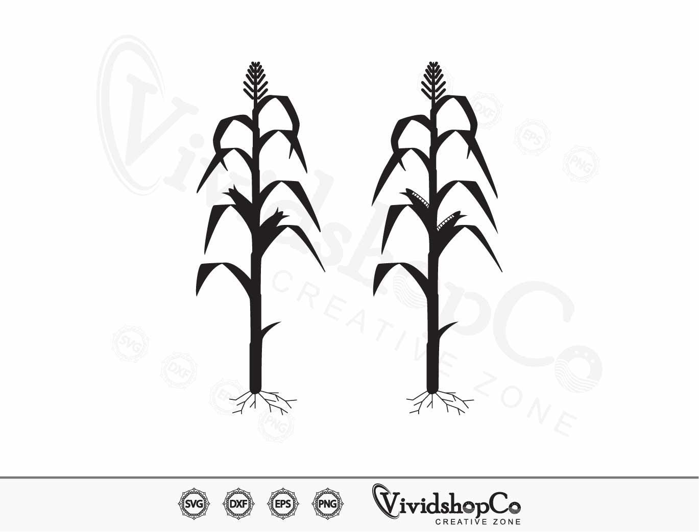 Corn Stalk Silhouette Vector