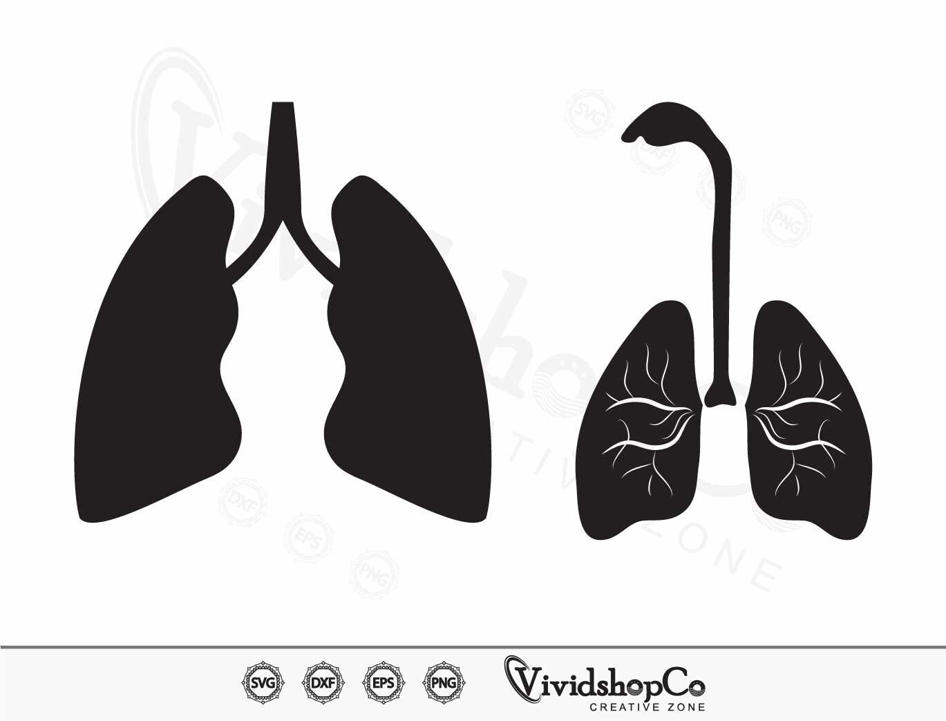 Lung SVG, Medical Image Svg, Human Lung Svg, Bronchial Svg, Clipart ...