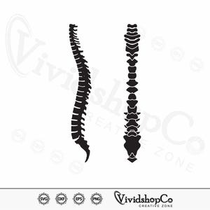 Anatomy SVG, Anatomy Spine Svg, Spine Svg, Human Anatomy Svg, Clipart, Cut Files for Silhouette ...
