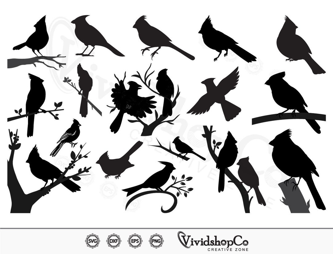 Cardinal SVG, Cardinal Bird Svg, Bird Svg, Cardinal Layered Svg ...