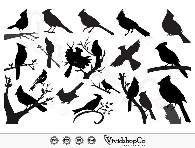 Cardinal SVG Cardinal Bird Svg Bird Svg Cardinal Layered - Etsy
