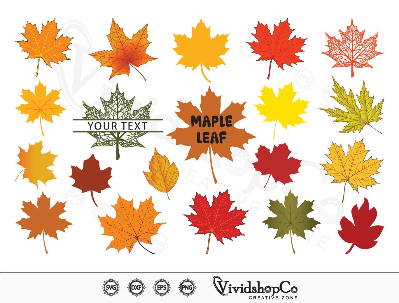 Hojas de arce SVG, hoja canadiense svg, hoja de arce de otoño svg, imágenes prediseñadas ...