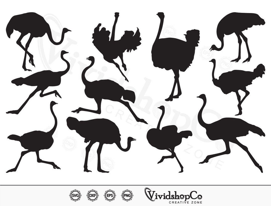 Ostrich SVG, Australian Bird Svg, Bird Svg, Clipart, Cut Files for ...