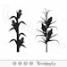 Corn Stalks SVG, Corn Tree, Corn Svg, Corn Field, Popcorn, Maize Svg ...