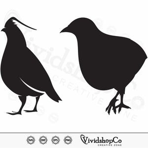 Quail SVG, Quail Bird Svg, Clipart, Cut Files for Silhouette, Files for ...