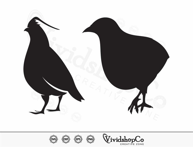 Quail SVG, Quail Bird Svg, Clipart, Cut Files for Silhouette, Files for ...