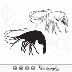 Shrimp SVG, Boiled Shrimp Svg, Prawn Svg, Seafood Svg, Clipart, Cut ...