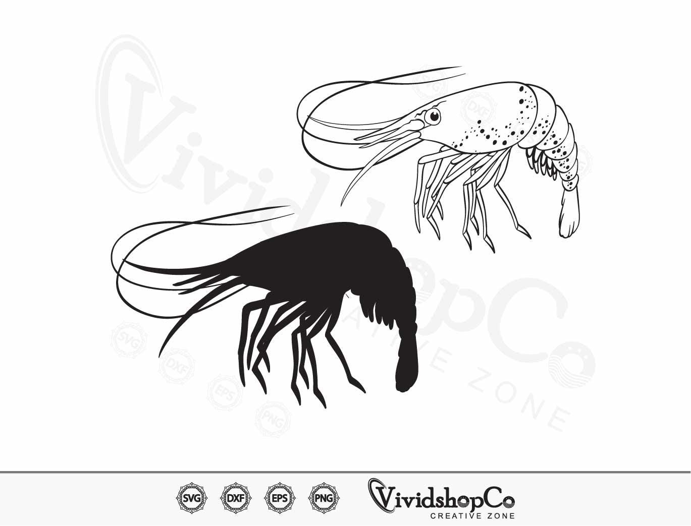 Shrimp SVG, Boiled Shrimp Svg, Prawn Svg, Seafood Svg, Clipart, Cut ...