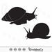 Snail SVG, Snails Svg, Snail Shape Svg, Garden Snail Svg, Clipart, Cut ...