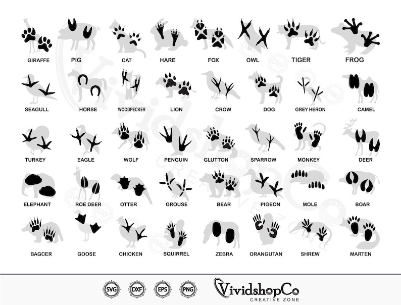 Tier Fuß Druck svg, Fußabdruck svg, Fuß svg, Füße svg, Clipart Vektor ...