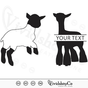 Show Lamb SVG, Market Lamb Svg, Sheep Svg, Show Sheep Svg, Clipart, Cut ...