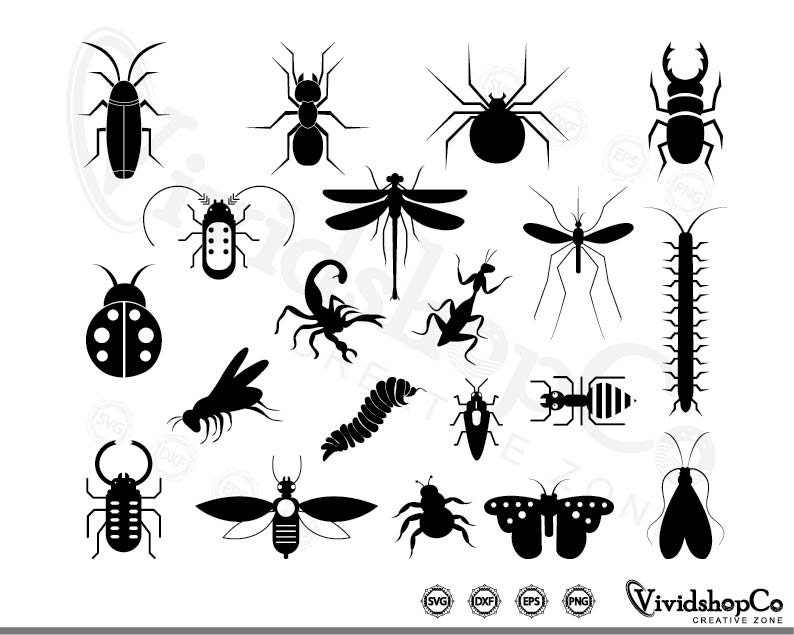 Insect Svg Clipart Cut Files for Silhouette Files for - Etsy