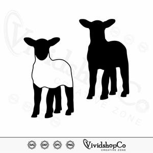 Show Lamb #2 SVG, Market Lamb Svg, Sheep Svg, Show Sheep Svg, Clipart ...