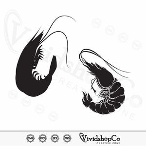 Shrimp SVG, Boiled Shrimp Svg, Prawn Svg, Seafood Svg, Clipart, Cut ...