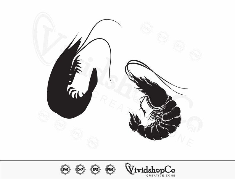 Shrimp SVG, Boiled Shrimp Svg, Prawn Svg, Seafood Svg, Clipart, Cut ...