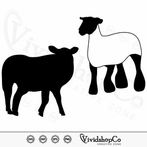 Show Lamb #2 SVG, Market Lamb Svg, Sheep Svg, Show Sheep Svg, Clipart ...