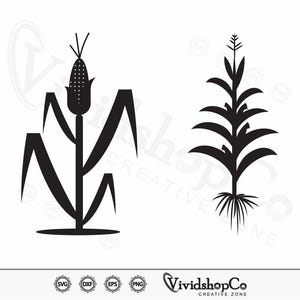 Corn Stalks SVG, Corn Tree, Corn Svg, Corn Field, Popcorn, Maize Svg ...