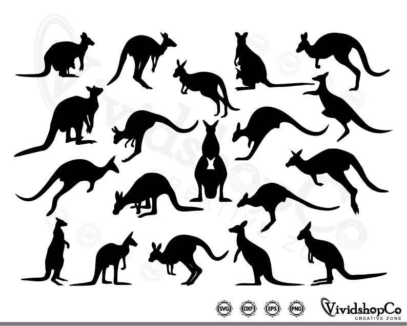 Kangaroo Svg Clipart Cut Files for Silhouette Files for - Etsy