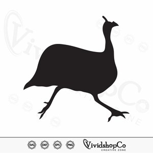 Guinea Fowl SVG, Guinea Svg, Fowl Svg, Bird Svg, Clipart, Cut Files for ...