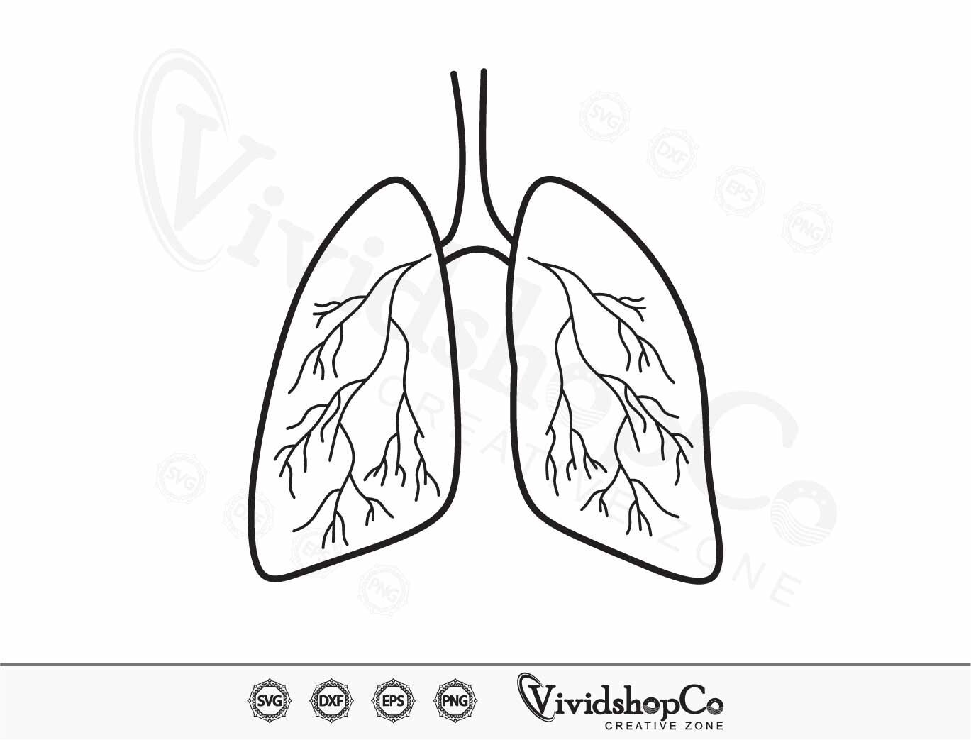 Lung SVG, Medical Image Svg, Human Lung Svg, Bronchial Svg, Clipart ...