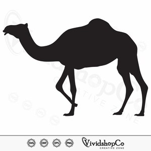 Camel SVG, Animal Svg, Clipart, Cut Files for Silhouette, Files for ...